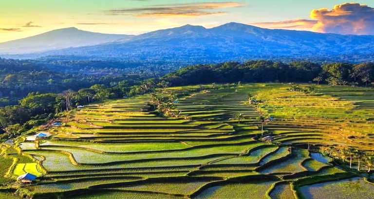 Stay More night is senaru 2022 And Explore Hidden Paradese In senaru